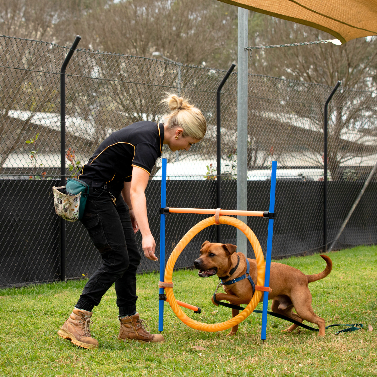 Careers at Animal Welfare League NSW