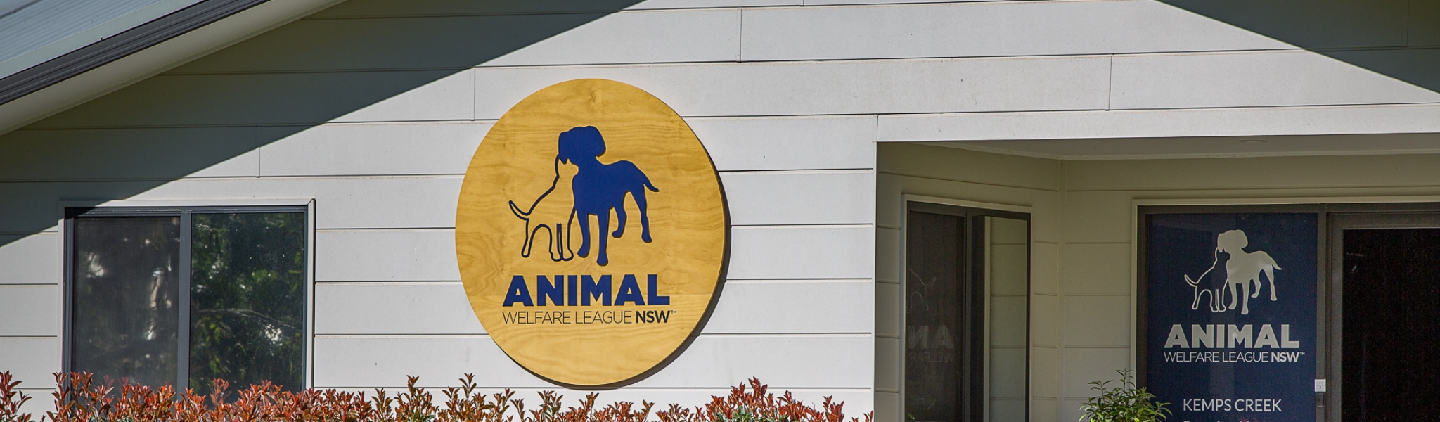 Office Visits with Animal Welfare League NSW